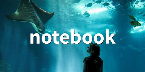 Notebook 7 2 2 Jupyter Notebook A Web Based Notebook Environment