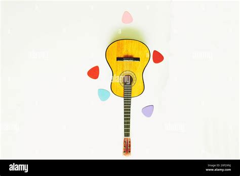 A Stringed Musical Instrument With A Fretted Fingerboard Typically
