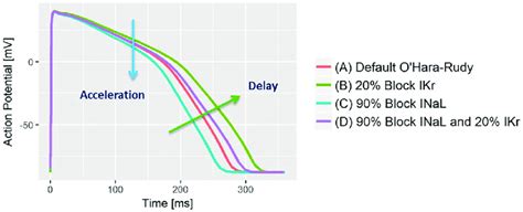 Simulation Of Blocking Of The Late Sodium Inal And The Hergikr