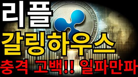 리플 이거파장 당분간 크겠는데요 Youtube
