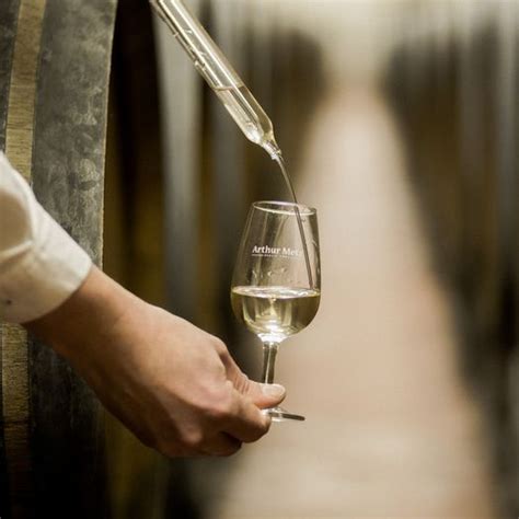 Vang trắng Arthur Metz Pinot Gris Pháp MEGA DUNK Đồ Uống Nhập Khẩu