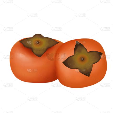 手绘 中国风元素 柿子