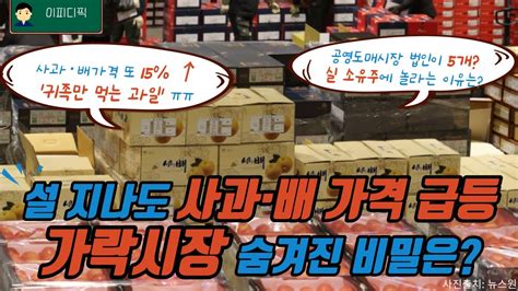 설 지나도 사과·배 가격 급등···가락시장 숨겨진 비밀은 Youtube