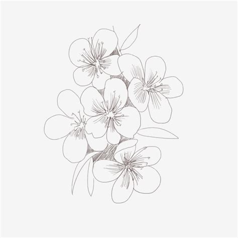 Psd Png Flower