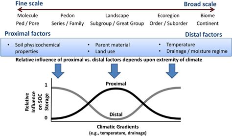 Conceptual Model Relating Proximal Versus Distal Influences On Soc