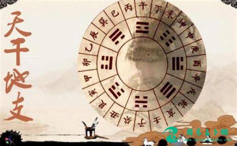 八字案例分析 算命大全 天居阁