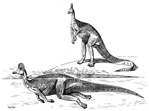 Corythosaurus Crested Dinosaur From The Late Cretaceous