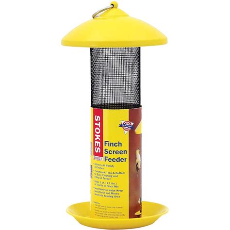 What Is The Best Yellow Finch Feeder Wildlifeful