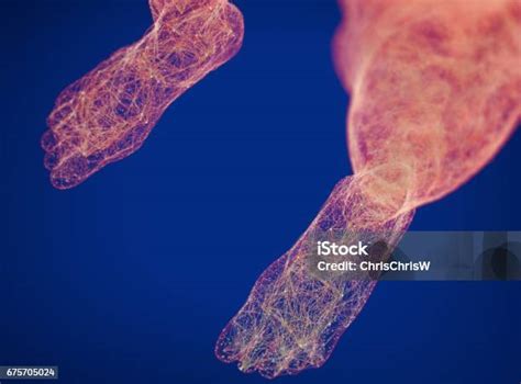 신경 연결 개념입니다 인체 신경과 신경 3 차원 일러스트 레이 션 개념과 주제에 대한 스톡 사진 및 기타 이미지 개념과 주제 남아프리카공화국 수평 구성 Istock