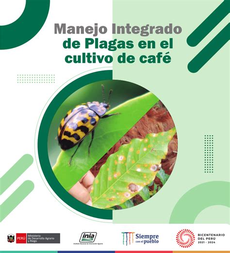 Pdf Manejo Integrado De Plagas En El Cultivo De Café