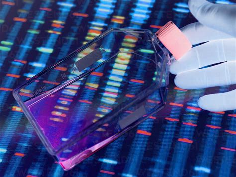 Genetic Engineering Scientist Viewing Cells In A Culture Jar With A