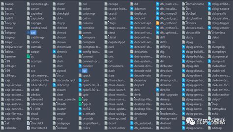 根目录linux根目录下各个目录的介绍 Csdn博客