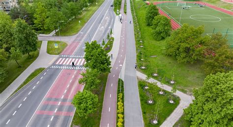 Udenhout Trees Vilnius Litouwen