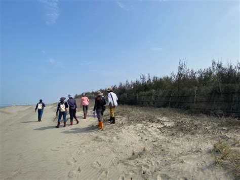 2020 11 17臺中海岸天然林復育行動 臺灣山林復育協會