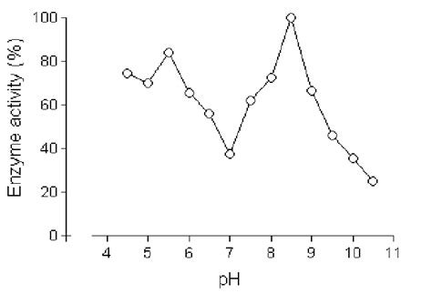 Effect Of Ph On Cgtase Activity Download Scientific Diagram