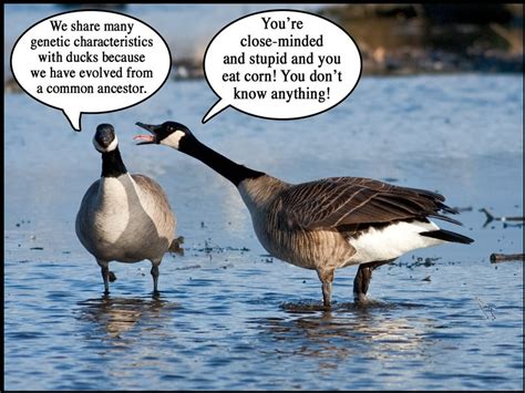 Logical Fallacies Quiz 10th Grade Quiz Quizizz