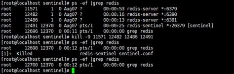 day11 spring integrates redis sentinel and redis cluster