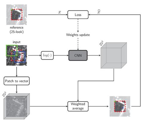 Nonlocal CNN SAR Image Despeckling