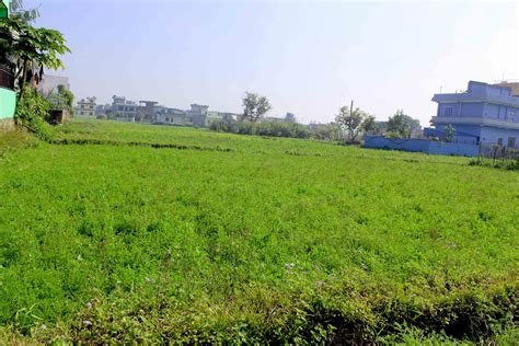 Land On Sale In Rupandehi Nepal Ghar Jagga Buy The Best Real