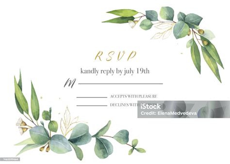 수채화 손으로 그린 청첩장 서식 파일입니다 유칼립투스 녹지로 디자인하십시오 엽서 그림 날짜 저장 인사말 카드 디자인 꽃 초대장 신록에 대한 스톡 벡터 아트 및 기타 이미지