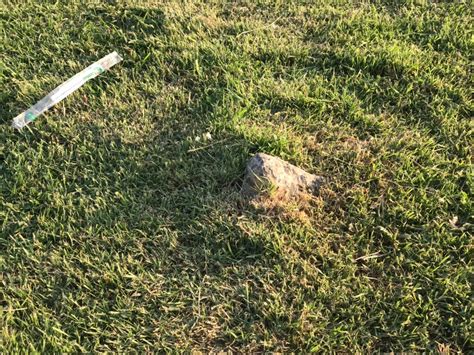 Lawn 10 Object Detection Dataset By Kmitl