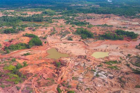 Bajo Cauca Y Nordeste Afectados Por “la Destrucción Ambiental Más