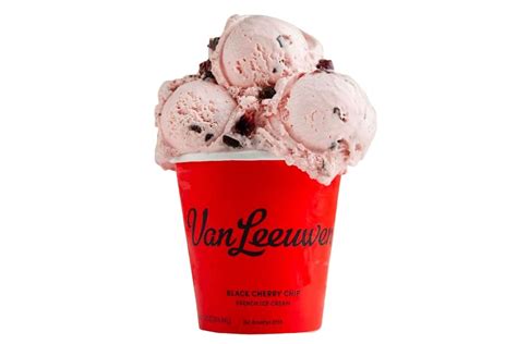 20 Best Van Leeuwen Ice Cream Flavors Ranked