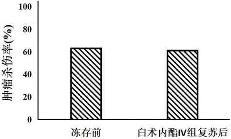 白术内酯IV用于制备CIK细胞冻存液的用途的制作方法