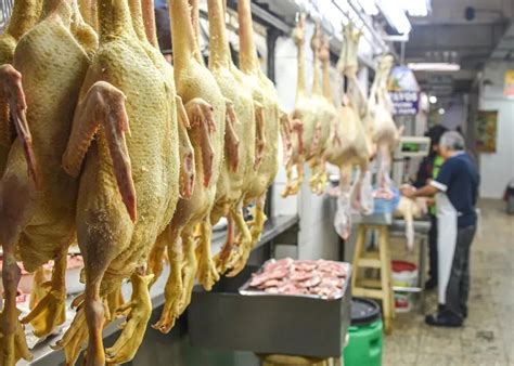 农业农村部：推动家禽集中屠宰、冷链运输、冰鲜上市农业农村部新冠肺炎新浪新闻