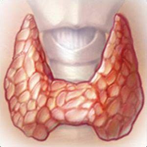 Mayo Clinic Minute Graves Disease When The Thyroid Is Overactive Mayo Clinic News Network