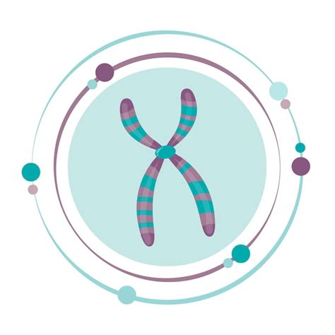 Premium Vector Dna Genome Sciences Vector Illustration Graphic Icon