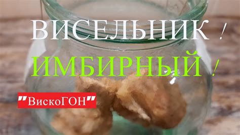 👍 Полезная Настойка - Висельник на Имбире ! Хрустальная на Корне Имбиря ...