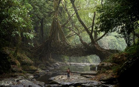 The Power Of Lo Tek A Design Movement To Rebuild Understanding Of