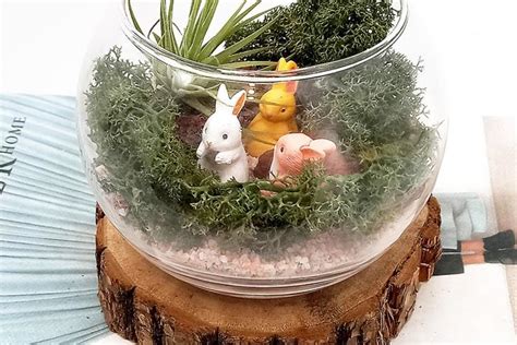 고미플라워 토끼동산 스킨디아모스 이오난사 테라리움 Diy 세트 우드코스터 서비스 위시버킷