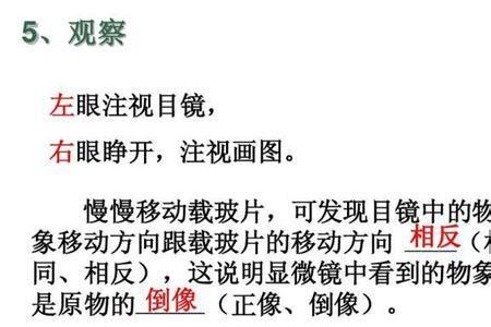显微镜凸面和凹面镜的区别