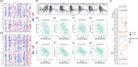 Src Correlate With Immune Cell Infiltrations Pan Cancers Download