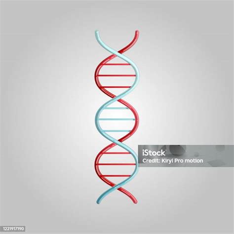 과학 Dna 분자의 아름다운 의료 아이콘 흰색 배경에 유전자 0명에 대한 스톡 벡터 아트 및 기타 이미지 0명 Dna