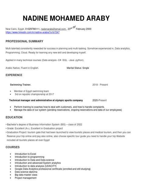 Nadine Mohamed Araby Pdf Analytics Data Science