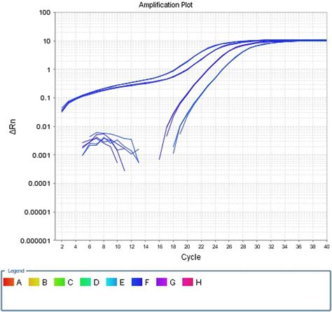 Sybr Green Qpcr With Standard Curve Protocol