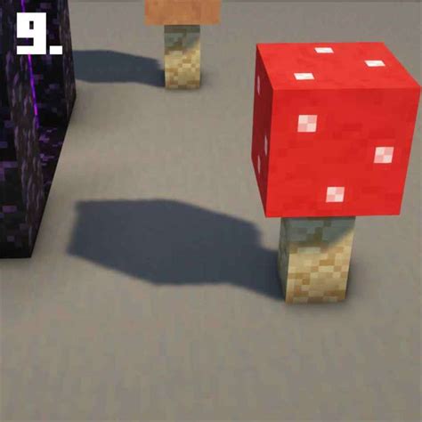 Mushroom Nether Portal Build It