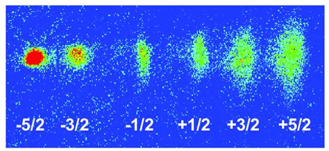 The Nuclear Spin Distribution Of Samples Of 173 Yb Atoms Example Download Scientific Diagram