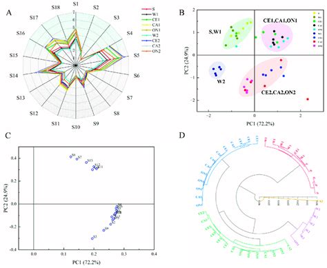 Radar Plot A Pca Score Plot B Loading Plot C And Hca Analysis
