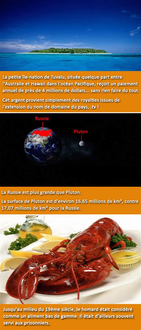 Culture G Express En 10 Faits Insolites