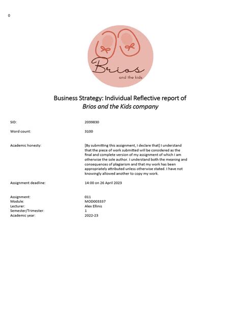 Bst Reflective Summary Sid 2039830 Final Desktop Pdf E Commerce