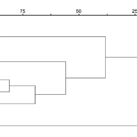 hierarchical cluster analysis based on genetic similarity included are