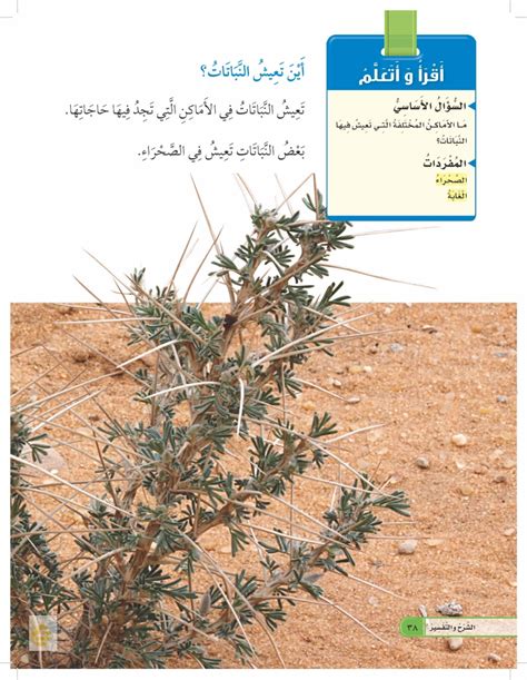 تعيش النباتات في أماكن كثيرة العلوم الفصل الأول أول ابتدائي