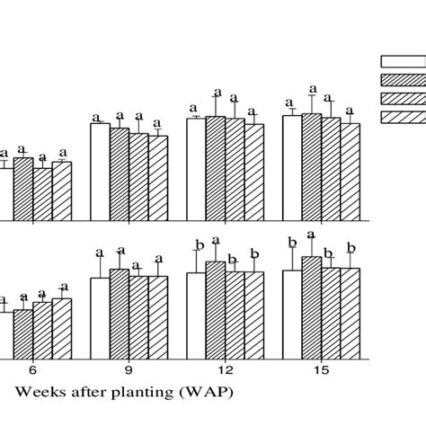 Pdf Effects Of Spatial Arrangements Of Groundnut Maize Intercrop On
