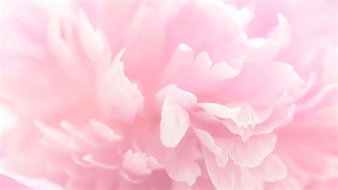 [100 ] Aesthetic Computer Light Pink Wallpapers