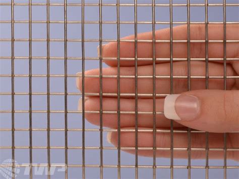 T304 Welded Stainless Steel 3 Wire Mesh