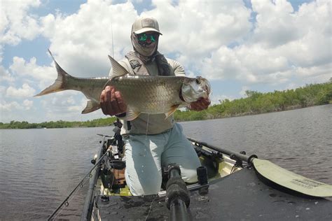 Expert Tips To Catch The Most Popular Inshore Gamefish | Kayak Angler